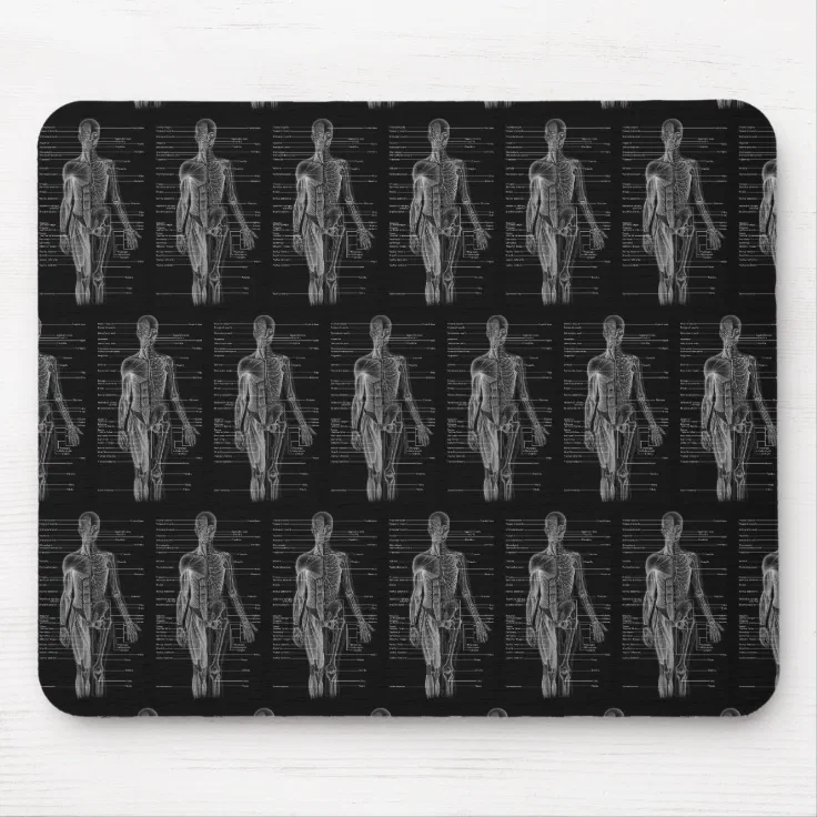 Human Anatomy Medical Chart Mouse Pad | Zazzle