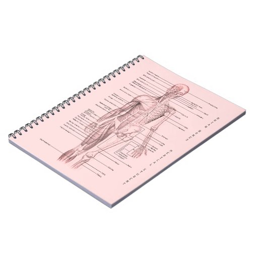 Human Anatomy Medical Diagram Personalized School Notebook | Zazzle