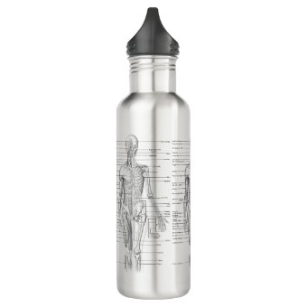 Human Anatomy Medical Diagram Stainless Steel Water Bottle | Zazzle