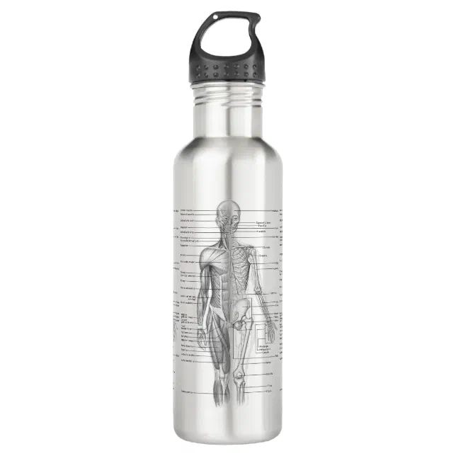 Human Anatomy Medical Diagram Stainless Steel Water Bottle | Zazzle