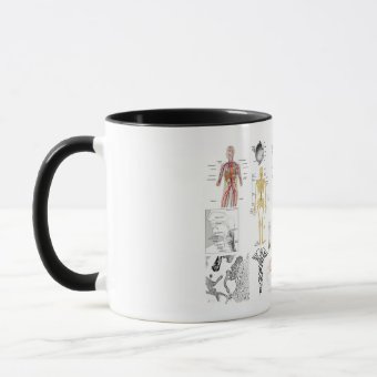 Human Anatomy Medical Diagrams full colored Mug | Zazzle