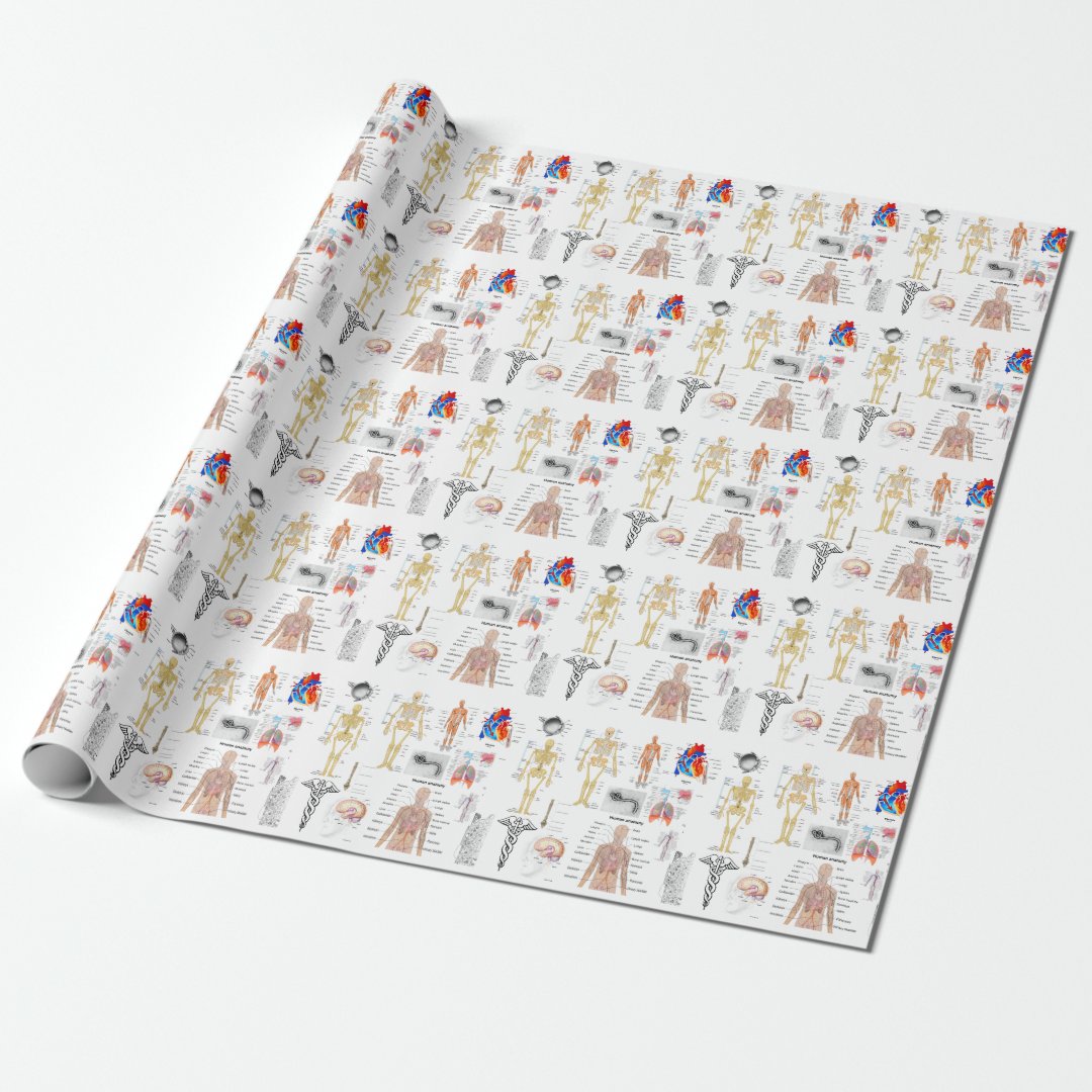 Human Anatomy Medical Diagrams full colored wrap Wrapping Paper | Zazzle