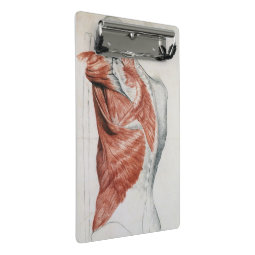 Human Anatomy; Muscles of the Torso and Shoulder Mini Clipboard | Zazzle