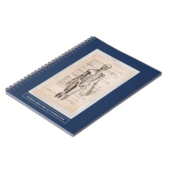 Human Anatomy & Physiology Customized Notebook | Zazzle