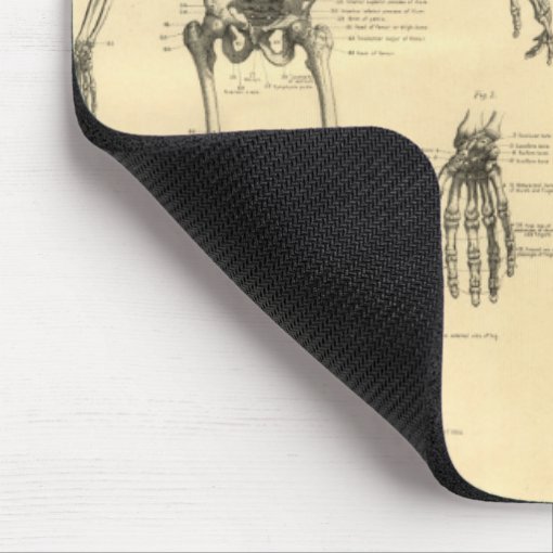 Human Anatomy Skeleton and muscles of the body Mouse Pad | Zazzle