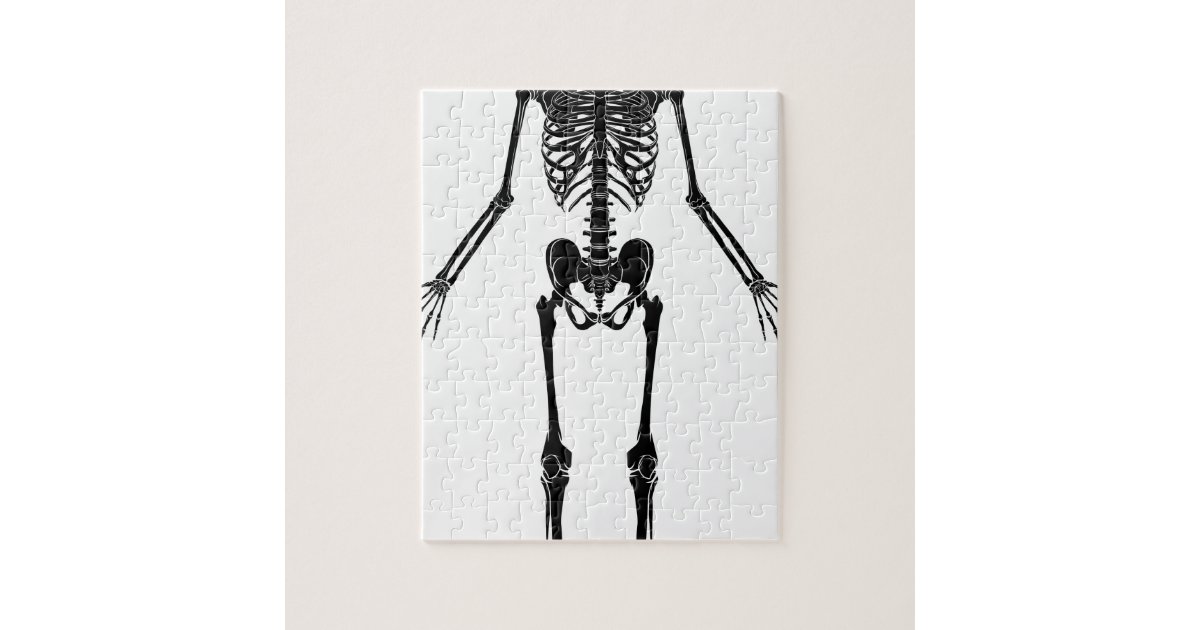 Human Anatomy Skeleton Jigsaw Puzzle | Zazzle