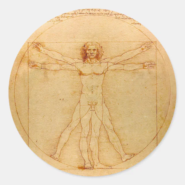 Human Anatomy, Vitruvian Man by Leonardo da Vinci Classic Round Sticker | Zazzle
