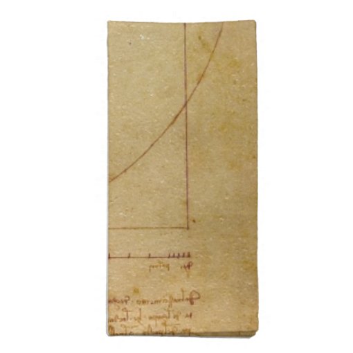 Human Anatomy, Vitruvian Man by Leonardo da Vinci Cloth Napkin | Zazzle
