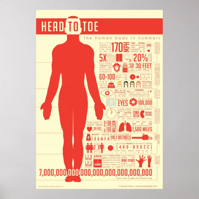 Human Body in Numbers Poster | Zazzle