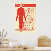 Human Body in Numbers Poster | Zazzle