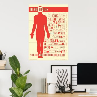 Human Body in Numbers Poster | Zazzle