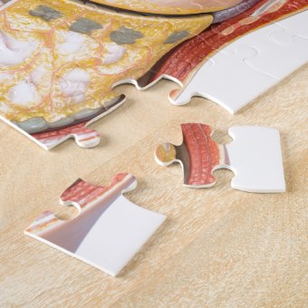 Human body model with organs isolated on white jigsaw puzzle | Zazzle