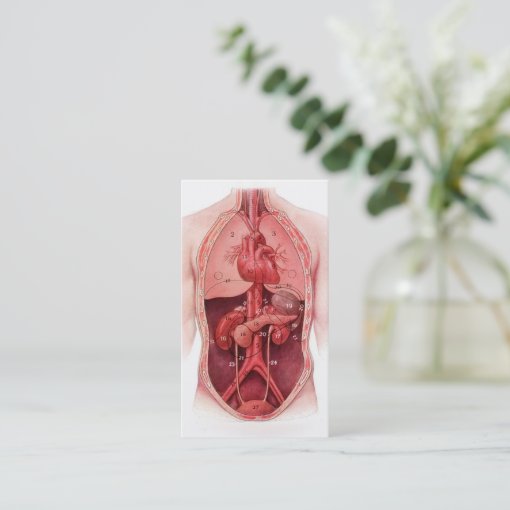 human body parts medical business cards | Zazzle