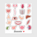 HUMAN BODY STICKERS | Zazzle