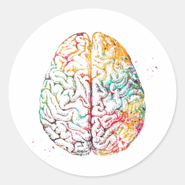 Personalized Brain Gifts on Zazzle