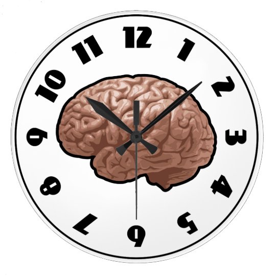 Human Brain Clock | Zazzle.com