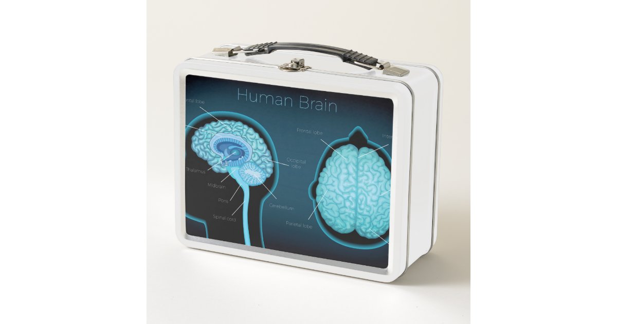 Human Brain Metal Lunch Box | Zazzle
