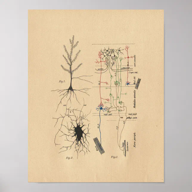 neuron art print
