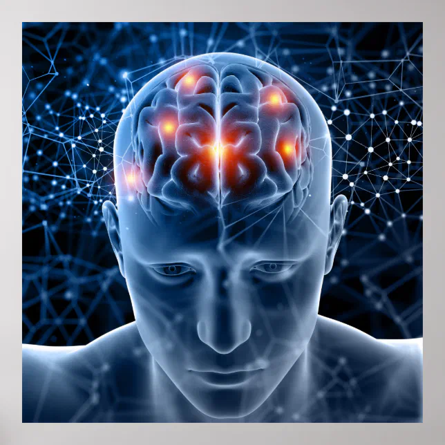 Human Brain Poster | Zazzle