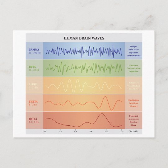 Human Brain Waves Chart Design Rainbow Colors Postcard | Zazzle.com