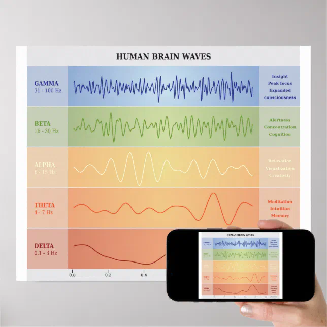Human Brain Waves Diagram - Rainbow Colors Poster | Zazzle