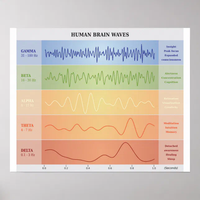 Human Brain Waves Diagram - Rainbow Colors Poster | Zazzle