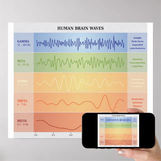 Human Brain Waves Diagram - Rainbow Colors Poster | Zazzle