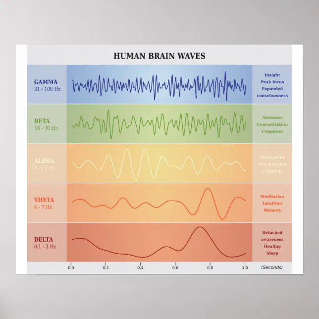 Human Brain Waves Diagram - Rainbow Colors Poster | Zazzle