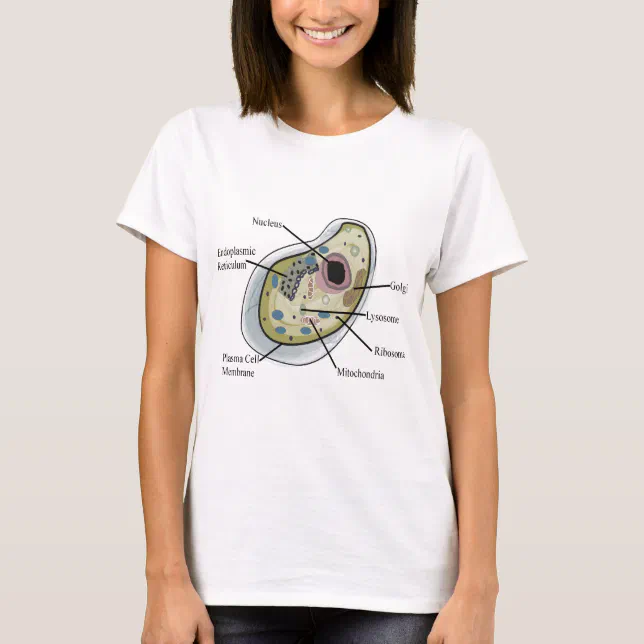 Human Cell Biology T-Shirts | Zazzle