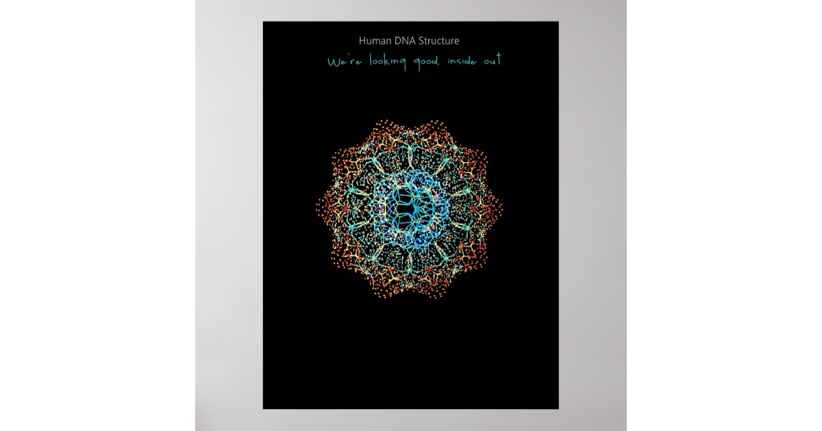 Human DNA Poster | Zazzle