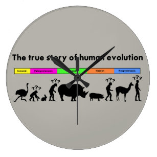 Evolution Wall Clocks | Zazzle