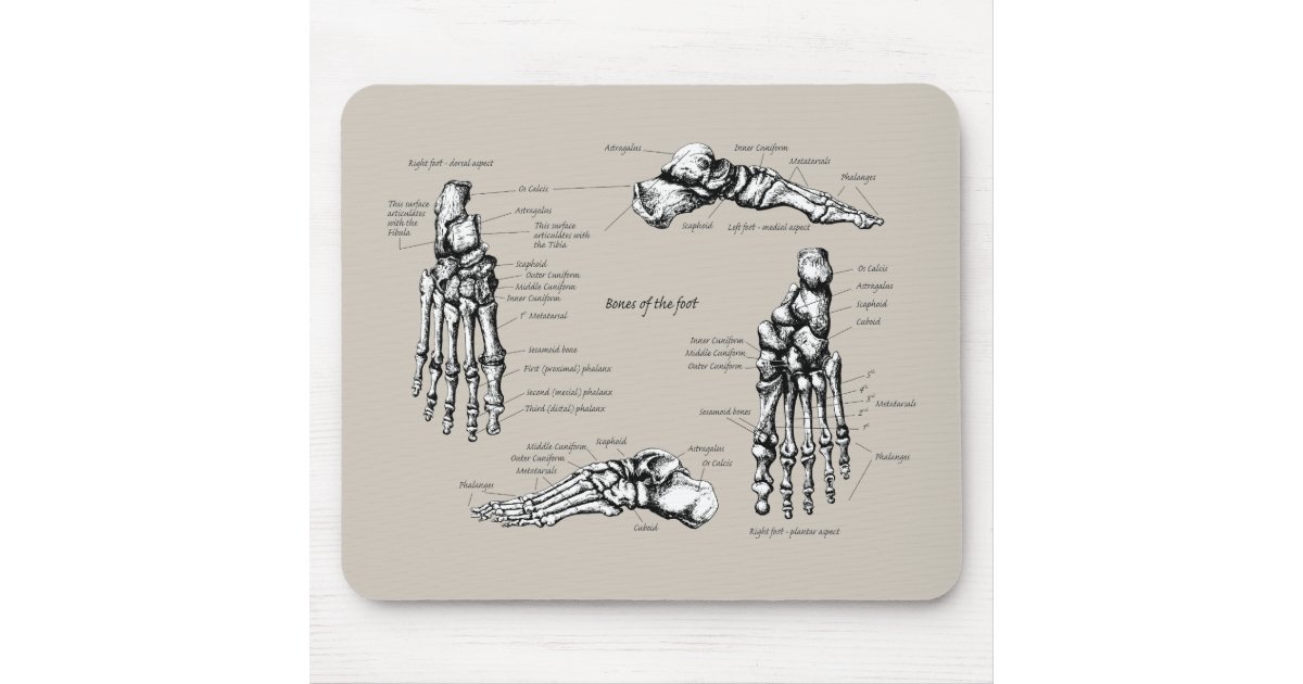 Human foot mouse pad | Zazzle