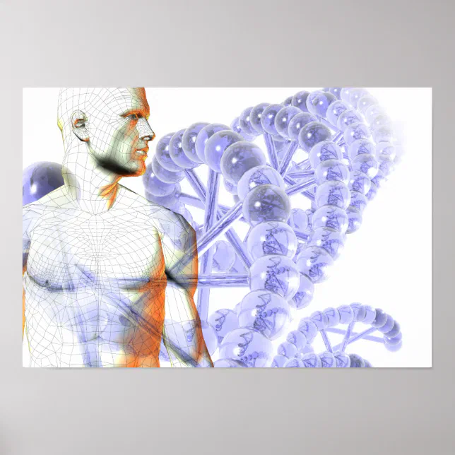 Human genome poster | Zazzle