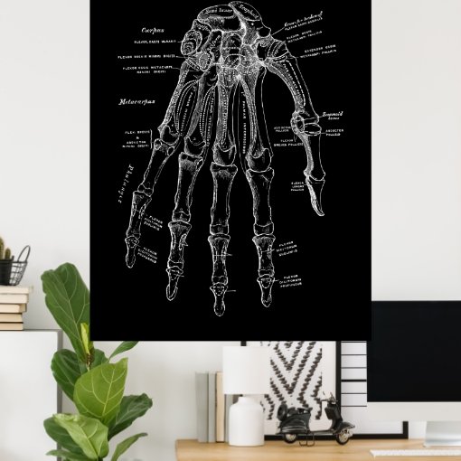 Human Hand Bone Anatomy Art Poster | Zazzle