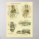 Human Hand Wrist Anatomy Poster | Zazzle