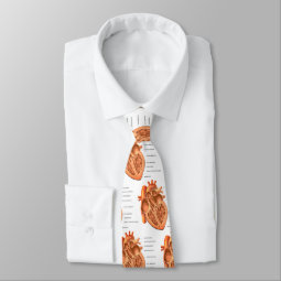 Human Heart Anatomy Medical Diagram Novelty Neck Tie | Zazzle
