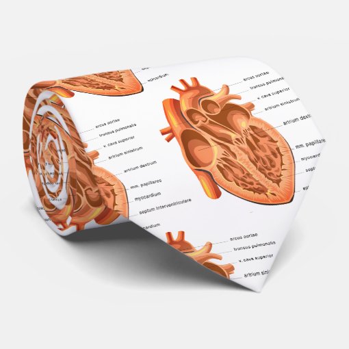 Human Heart Anatomy Medical Diagram Novelty Neck Tie | Zazzle