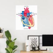 Human Heart Diagram Showing Blood Oxygen Pathways Poster | Zazzle