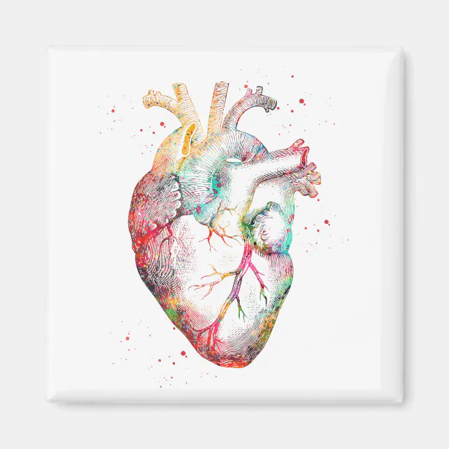 Human Heart Magnet | Zazzle