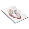 Human Heart Notebook | Zazzle
