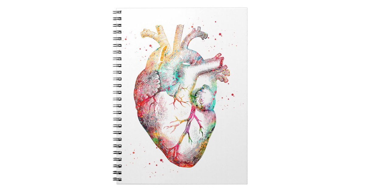 Human Heart Notebook | Zazzle