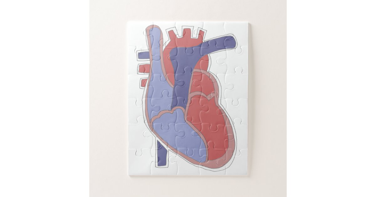 Human Heart Puzzle | Zazzle