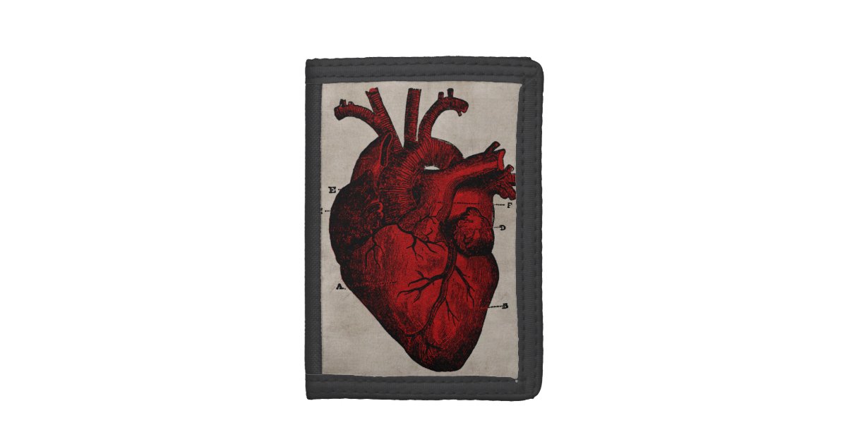 Human Heart Trifold Wallet | Zazzle