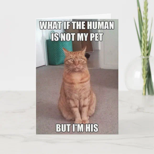 Human is not my pet card | Zazzle