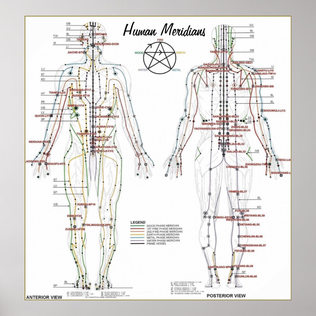 Human Meridians & Pressure Point Chart Poster | Zazzle