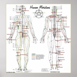 Human Meridians & Pressure Point Chart Poster | Zazzle