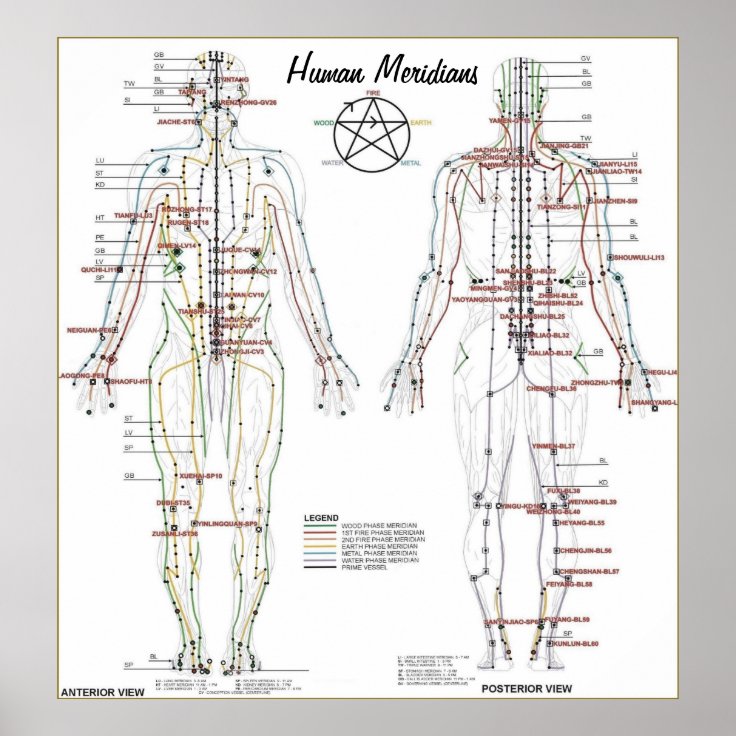 Human Meridians & Pressure Point Chart Poster | Zazzle
