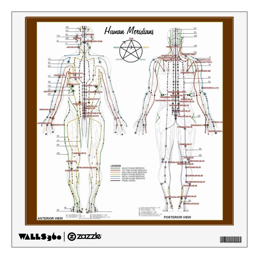 Human Meridians & Pressure Point Chart Wall Decal | Zazzle