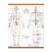 Human Meridians & Pressure Pt Chart wrapped Canvas | Zazzle