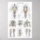 Human Muscle Anatomy Poster Anterior Posterior | Zazzle